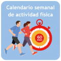 Recomendaciones básicas y calendario semanal de actividad física