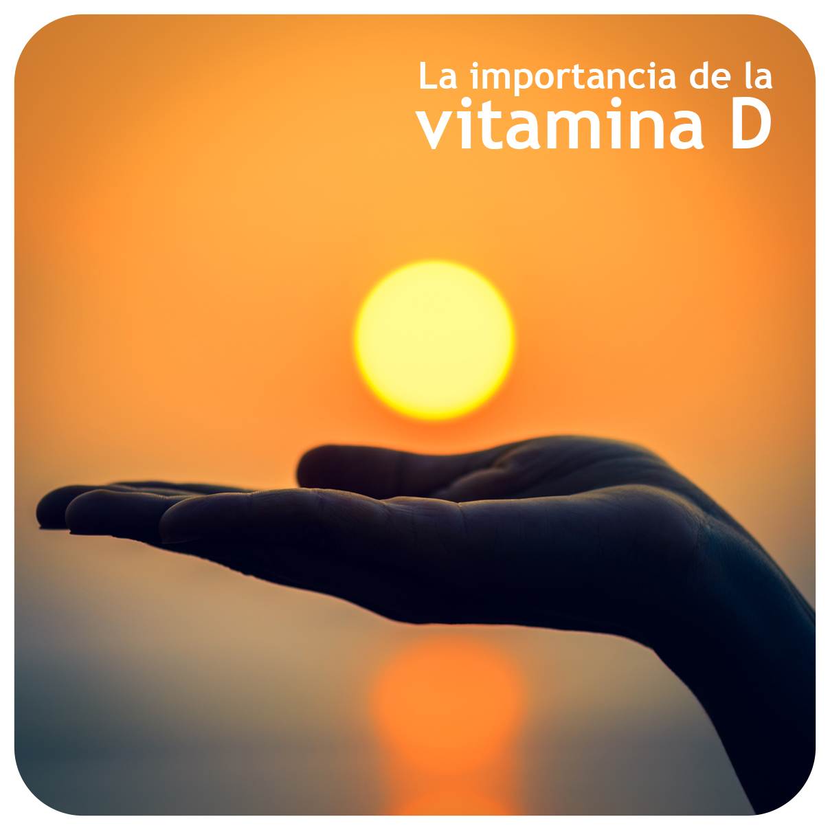 Vitamina D3 Para Que Sirve : Mediser Para Que Sirve El Examen De ... Vitamina D3 Para Que Sirve : Mediser Para Que Sirve El Examen De ...